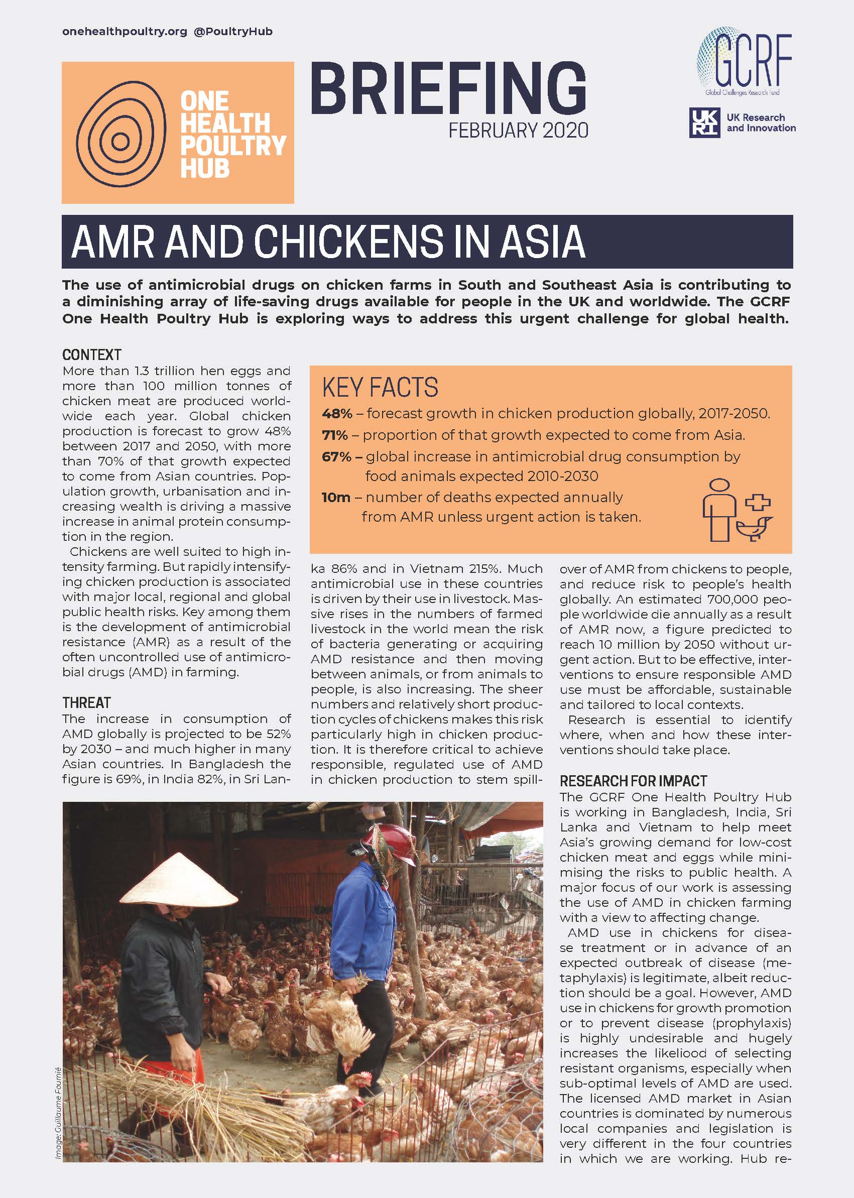 AMR and chickens in Asia | One Health Poultry Hub