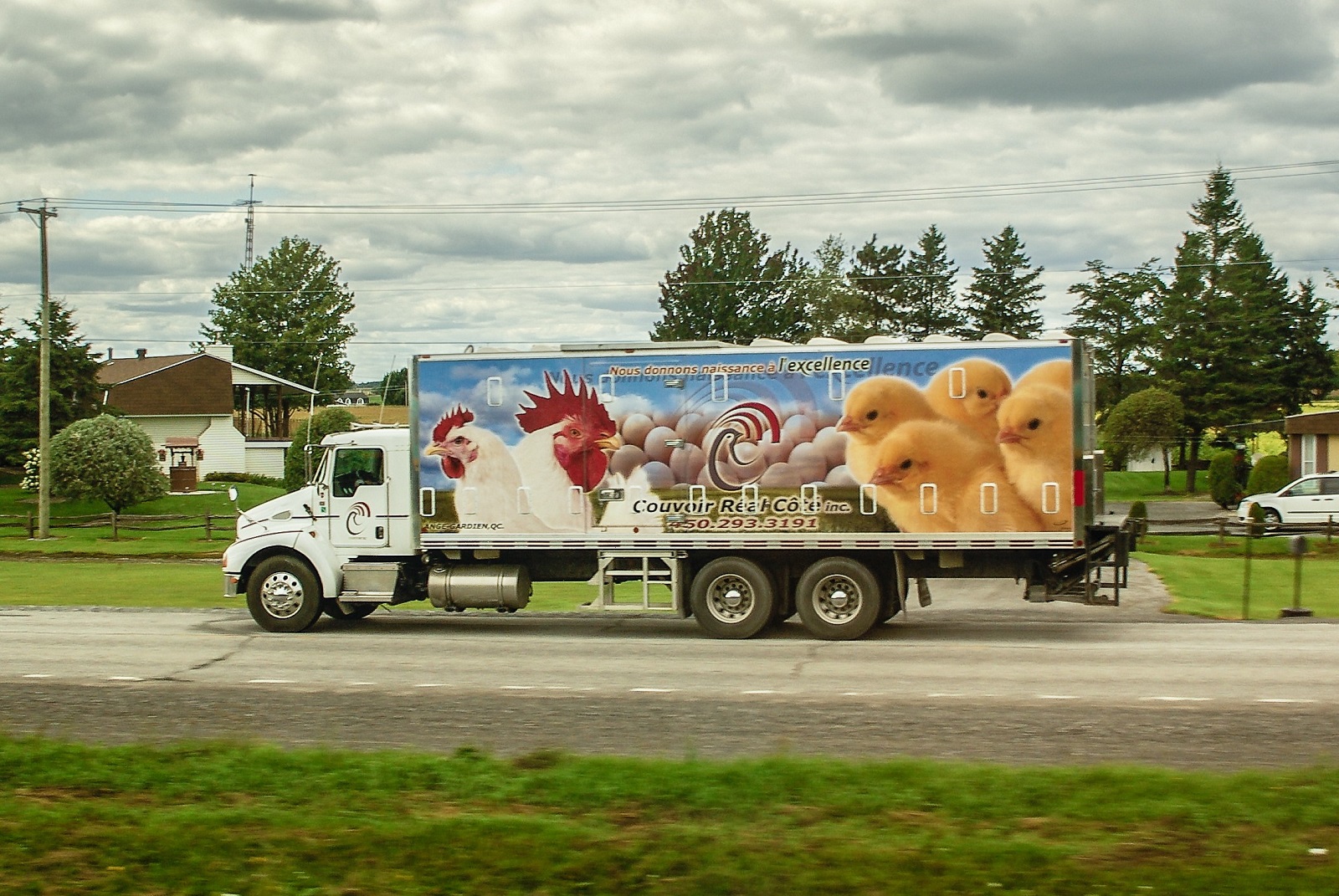 Food systems: local or regional or global | One Health Poultry Hub