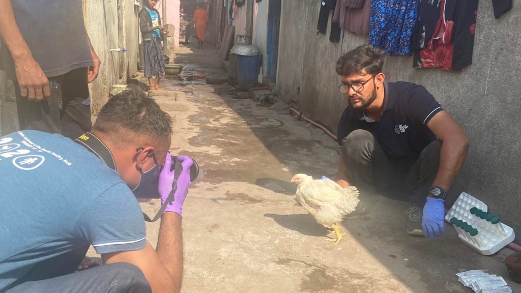 Biological sampling: focus on Gujarat | One Health Poultry Hub