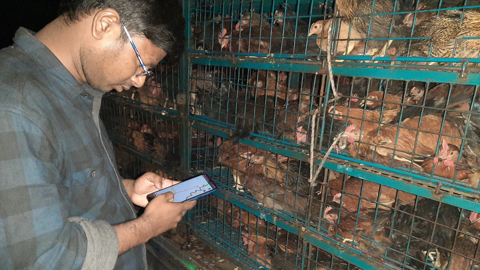 APP TO TRACK REAL-TIME GLOBAL HEALTH DATA | One Health Poultry Hub