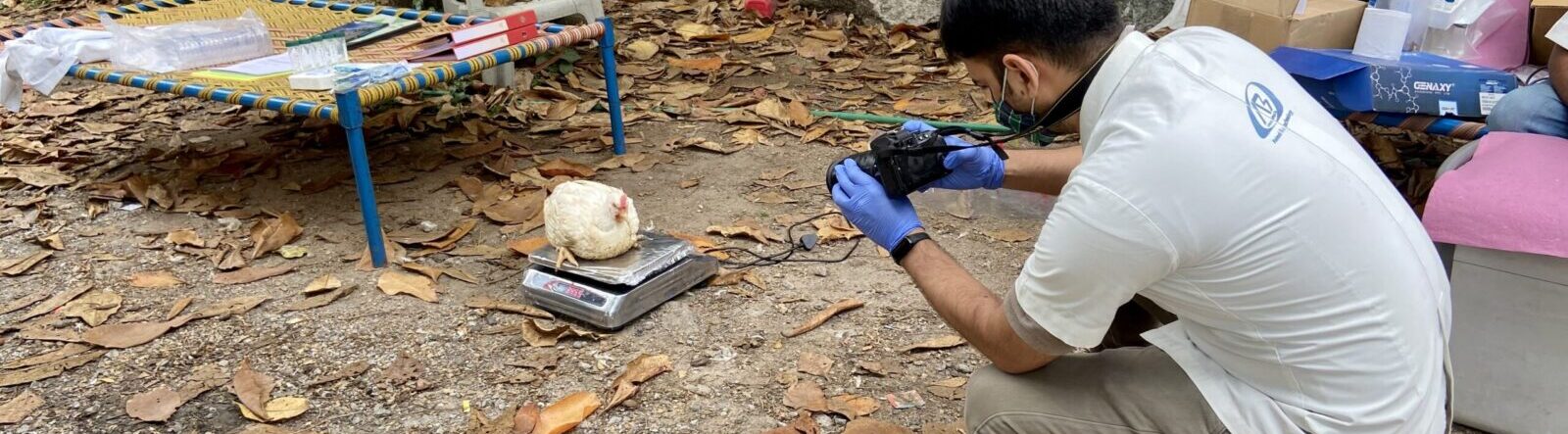 One Health Poultry Hub