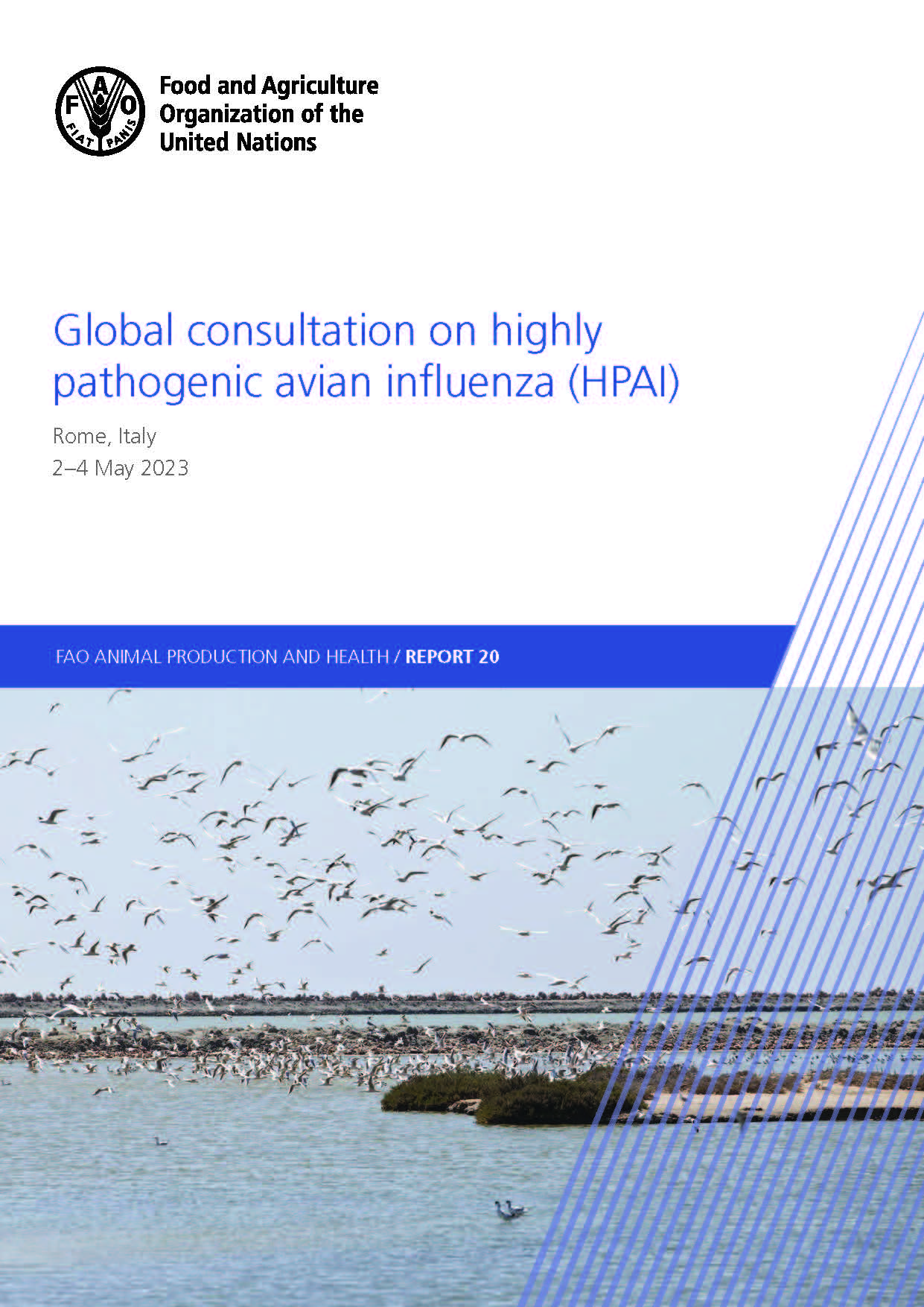 Global consultation on highly pathogenic avian influenza (HPAI) | One ...