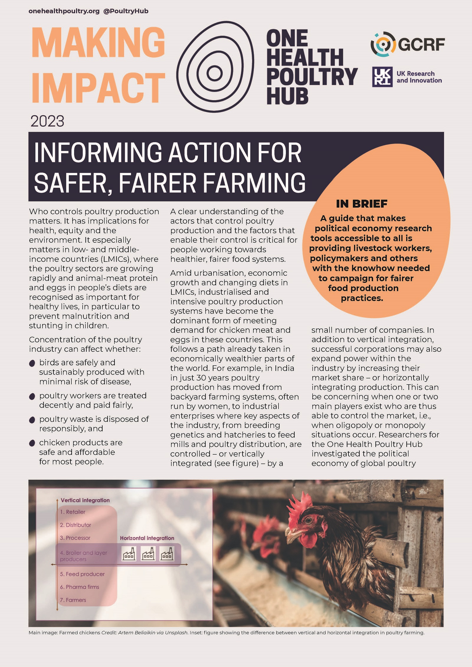 Informing action for safer, fairer farming | One Health Poultry Hub